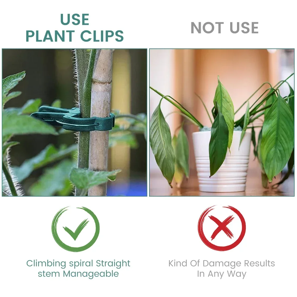 20-500Pcs Plant Fixed Clips Reusable Greenhouse Bracket Fixing Stems ...