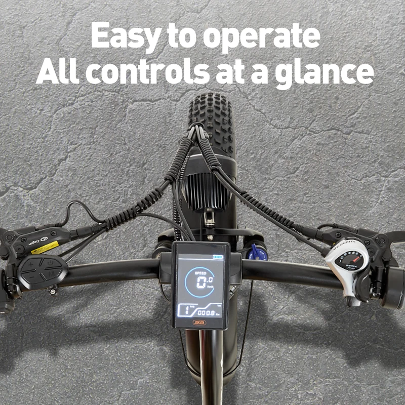 BURCHDA R8PRO Powerful Electric Bicycle 1000W Foldable City E-Bike For ...
